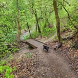 Maple Canyon to Whiting Campground, Utah - 607 Reviews, Map | AllTrails