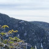 Mount Adams via Air Line Trail, New Hampshire - 697 Reviews, Map ...
