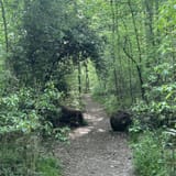 Jones Bridge Trail , Georgia - 2,722 Reviews, Map | AllTrails