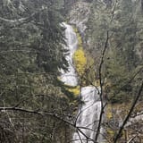 Skookum Flats Trail, Washington - 1,007 Reviews, Map | AllTrails