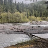 Skookum Flats Trail, Washington - 1,007 Reviews, Map | AllTrails