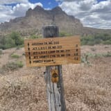 Picketpost Mountain Trail, Arizona - 2,336 Reviews, Map | AllTrails