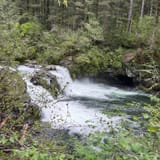 Sunset Falls, Washington - 55 Reviews, Map | AllTrails