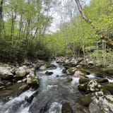 Mouse Creek Falls via Big Creek Trail, Tennessee - 2,740 Reviews, Map ...