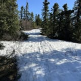 Summit Trail to Wickersham Dome, Alaska - 232 Reviews, Map | AllTrails