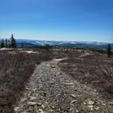 Summit Trail to Wickersham Dome, Alaska - 232 Reviews, Map | AllTrails