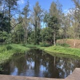 Enoggera Reservoir Circuit, Queensland, Australia - 1,742 Reviews, Map ...