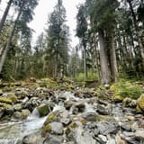 Middle Fork Snoqualmie River Trail, Washington - 1,061 Reviews, Map ...
