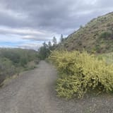 Cowiche Canyon Trail, Washington - 672 Reviews, Map | AllTrails