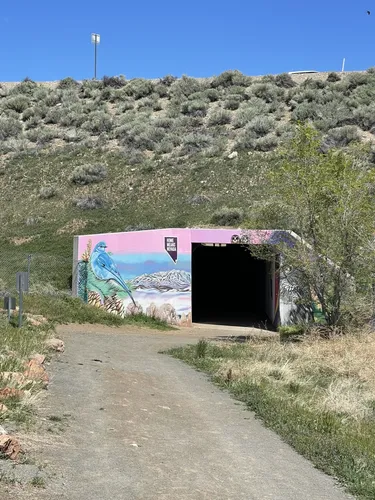 Best Views Trails in Rancho San Rafael Regional Park | AllTrails