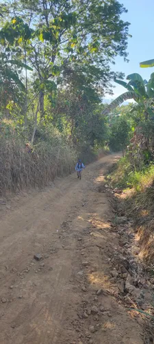10 Best Trail Running Trails in Metro Manila | AllTrails