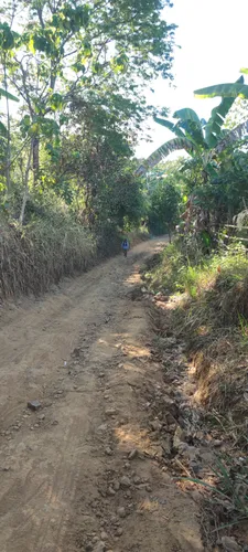 10 Best Trail Running Trails in Metro Manila | AllTrails