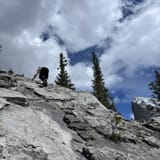 East End Of Rundle (EEOR), Alberta, Canada - 3,800 Reviews, Map | AllTrails