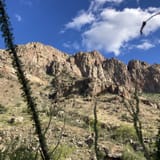 Pima Canyon Trail, Arizona - 3,258 Reviews, Map | AllTrails