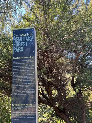 Best Long Trails in Remutaka Forest Park | AllTrails