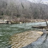Burnt Mill Loop Trail, Tennessee - 488 Reviews, Map | AllTrails