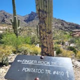 Pontatoc Ridge Trail, Arizona - 1,901 Reviews, Map | AllTrails