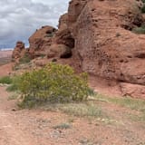 Chuckwalla Trail, Utah - 853 Reviews, Map | AllTrails