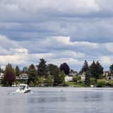 Foster Island Trail, Washington - 719 Reviews, Map | AllTrails