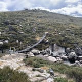 Illawong Walk, New South Wales, Australia - 330 Reviews, Map | AllTrails