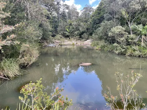 Best Views Trails in Mount Fox | AllTrails