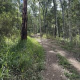 Enoggera Reservoir Circuit, Queensland, Australia - 1,696 Reviews, Map ...