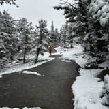 Turtle Rock Loop Trail, Wyoming - 1,078 Reviews, Map | AllTrails