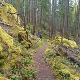 Duckabush River Trail to Five Mile Camp, Washington - 882 Reviews, Map ...