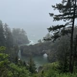 Natural Bridges Viewpoint Trail, Oregon - 663 Reviews, Map | AllTrails