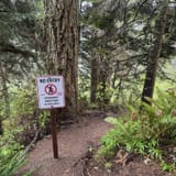 Natural Bridges Viewpoint Trail, Oregon - 663 Reviews, Map | AllTrails
