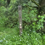 Natural Bridges Viewpoint Trail, Oregon - 663 Reviews, Map | AllTrails