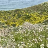 Tomales Point Trail, California - 6,512 Reviews, Map | AllTrails