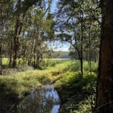 Enoggera Reservoir Circuit, Queensland, Australia - 1,742 Reviews, Map ...