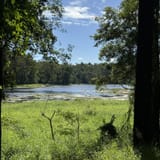 Enoggera Reservoir Circuit, Queensland, Australia - 1,742 Reviews, Map ...