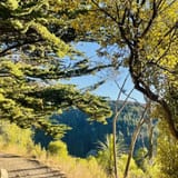 Harry Ell Walkway, Canterbury, New Zealand - 547 Reviews, Map | AllTrails