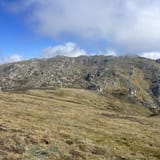 Main Range Walk, New South Wales, Australia - 903 Reviews, Map | AllTrails