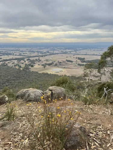 Best Forest Trails in Warby Ranges State Park | AllTrails