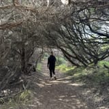 Cape Schanck via Two Bays Walking Track, Victoria, Australia - 719 Reviews, Map | AllTrails