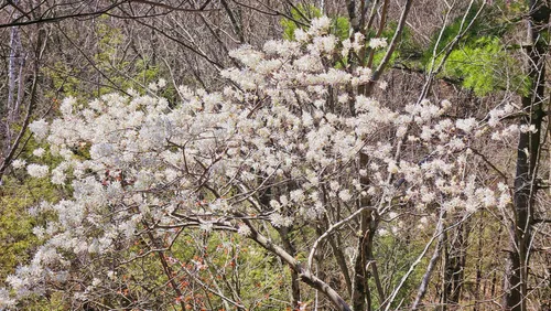 Best Hikes and Trails in Greenfield | AllTrails