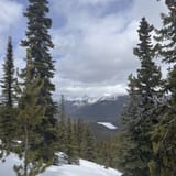 Bald Hills Loop, Alberta, Canada - 1,257 Reviews, Map | AllTrails
