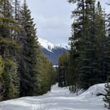 Bald Hills Loop, Alberta, Canada - 1,273 Reviews, Map | AllTrails
