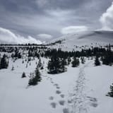 Bald Hills Loop, Alberta, Canada - 1,273 Reviews, Map | AllTrails