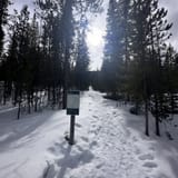 Bald Hills Loop, Alberta, Canada - 1,234 Reviews, Map | AllTrails