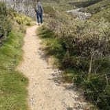 Illawong Walk, New South Wales, Australia - 297 Reviews, Map | AllTrails