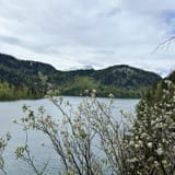 Alpsee Loop, Bavaria, Germany - 290 Reviews, Map | AllTrails