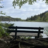 Alpsee Loop, Bavaria, Germany - 290 Reviews, Map | AllTrails