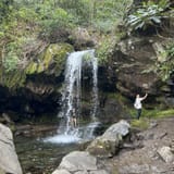 Grotto Falls via Trillium Gap Trail, Tennessee - 6,328 Reviews, Map ...