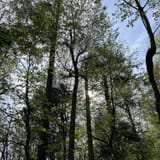 Grotto Falls via Trillium Gap Trail, Tennessee - 6,316 Reviews, Map ...