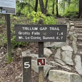 Grotto Falls via Trillium Gap Trail, Tennessee - 6,328 Reviews, Map ...