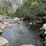 Grotto Falls via Trillium Gap Trail, Tennessee - 6,328 Reviews, Map ...